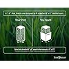 Amazon.com : Post Shields Post Protector 6x6 (5.5"x5.5") - 4" H ...