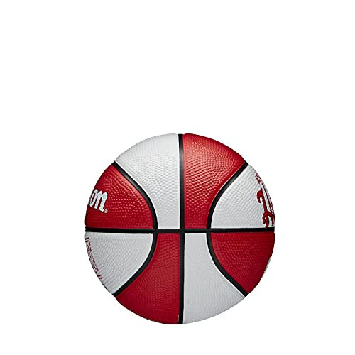 Snapklik.com : WILSON NBA Team Retro Mini Basketball