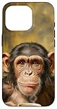 ・ブランド:BrewArt・製造元:アマゾンによるマーチャンダイジング・モデル:WY7C5J8WKCCJPIPHONE_16_PRO・製造元/メーカー部品番号:WY7C5J8WKCCJPIPHONE_16_PRO・コーヒー好きの知識人の本質...