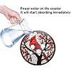 Amazon.com: 4 Pcs Boxer Dog Ceramic Coasters for Drinks Absorbent Round ...