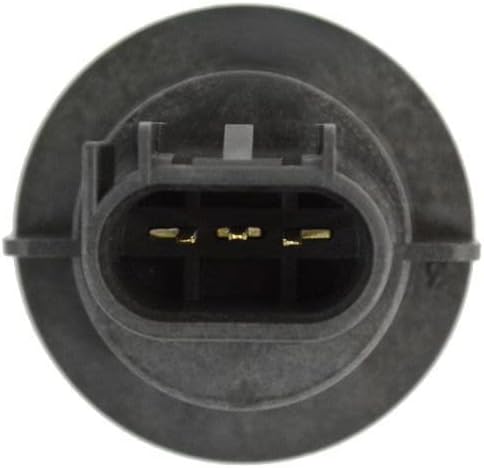 Amazon.com: Park And Turn Signal Socket : Automotive
