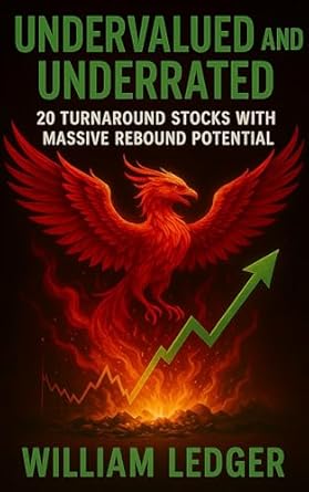 Amazon.com: Undervalued & Underrated: 20 Turnaround Stocks With Massive ...