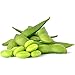 Amazon.com : Midori Giant Edamame Seeds for Planting, 25+ Heirloom ...