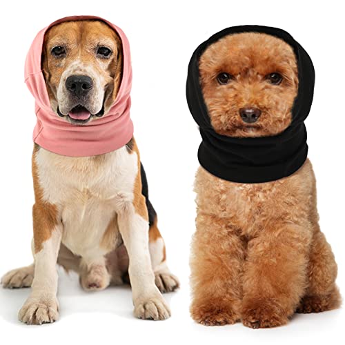 Quiet the Barks & Calm the Ears: The Ultimate Guide to the Top 10 Dog ...