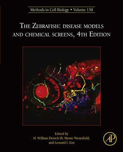 The Zebrafish: Disease Models and Chemical Screens (ISSN Book 138) 4 ...