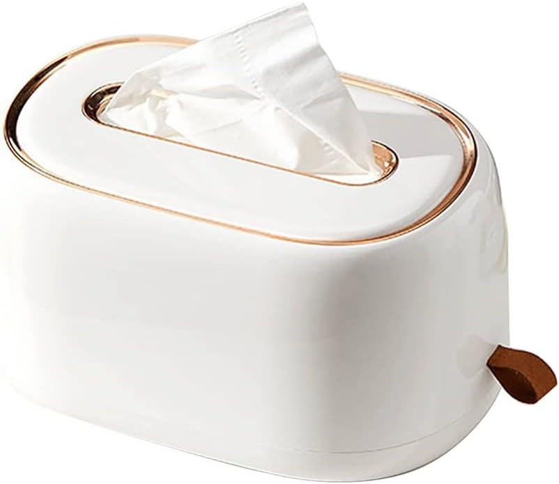 Amazon.com: BioNyt Tissue Box Holder with Spring Desktop Wall-Mounted ...