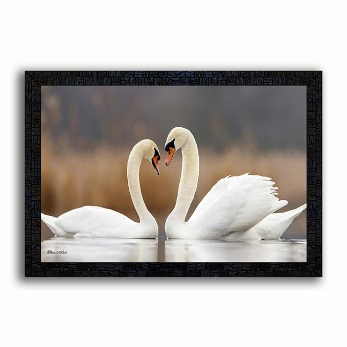 S.K Swan Love Painting Wall Art Photo Frame For Home Vastu Mandir ...