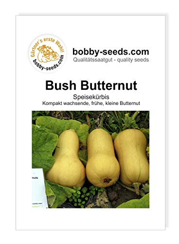 Butternut Kürbis Samen – Die 15 besten Produkte im Vergleich ...