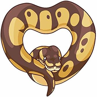 Amazon.com - Ball Python Heart Snake Decal -Indoor and Outdoor use ...