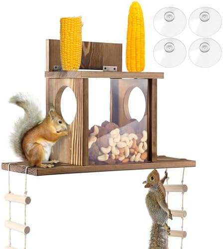 Amazon.com: Funny Squirrel Feeder for Outside with Ladder, Wall and ...