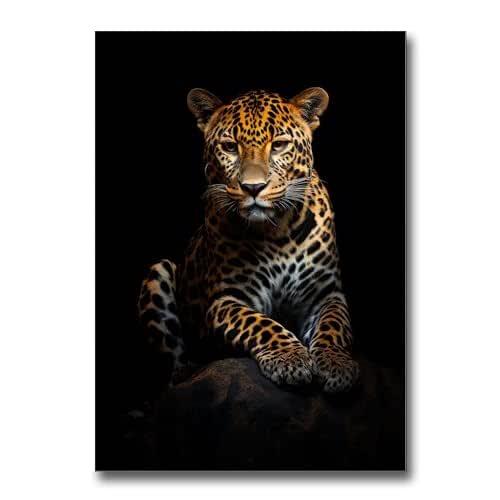 Amazon.com: Leopard Poster Prints, Black Background, Wildlife Animal ...