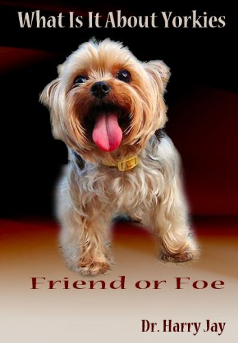 What Is It About Yorkies?: Dog Training Yorkies (Lifestyle and Home ...