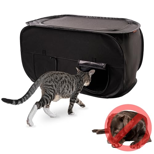 Litter Box Dog Proof – The 15 best products compared - Wild Explained