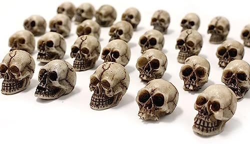 Amazon.com: 14 Pcs 1.5 Inch Mini Resin Animal Skull Heads Miniature ...