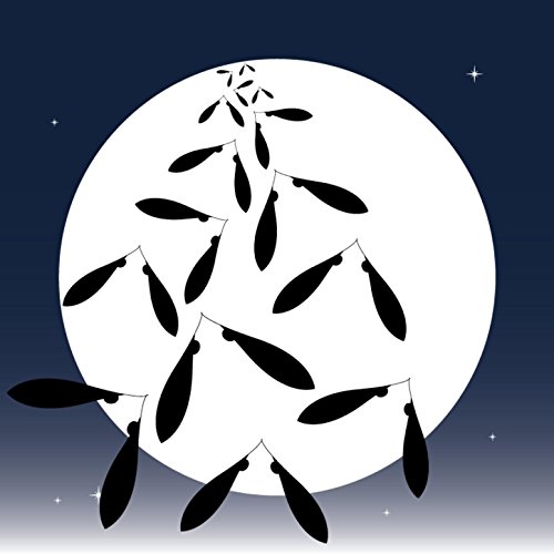 Amazon.com: Tsuki : Tsuki: Digital Music