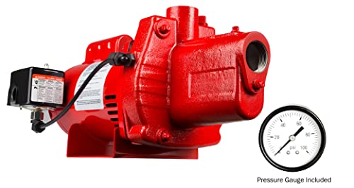 Snapklik.com : Red Lion 602207 Premium Cast Iron Shallow Well Jet Pump