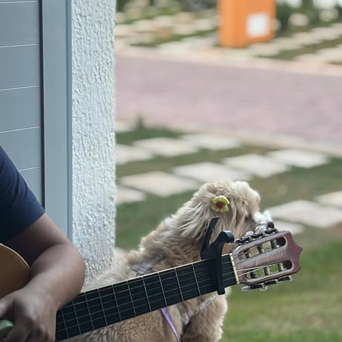 166 (A graça inefável de Deus) by Suellen Faustino on Amazon Prime Music