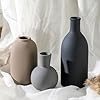 Amazon.com: Ceramic Vase Set of 3, Rustic Farmhouse Vases Home Decor ...