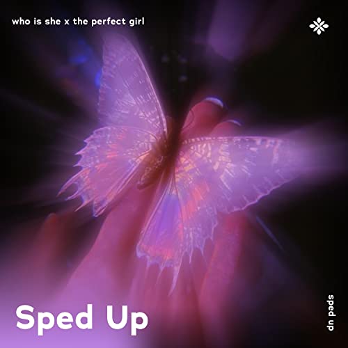who is she x the perfect girl - sped up + reverb by pearl, fast forward ...