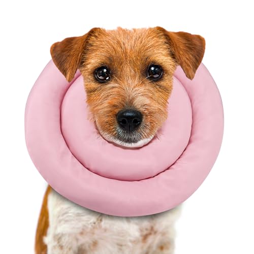 Collar Soft E para Perros – Los 15 mejores productos comparados - Wild ...