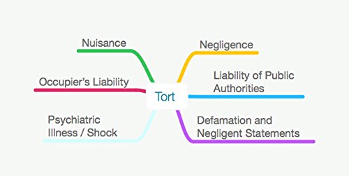 TORT MIND MAPS - LLB / GDL: Amazon.co.uk: LawMindMaps.com ...