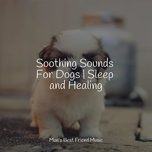 Play Soothing Sounds For Dogs | Sleep and Healing by Relaxation Music ...
