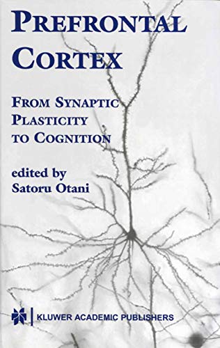 Amazon.co.jp: Prefrontal Cortex: From Synaptic Plasticity to Cognition ...