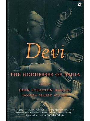Devi - The Goddesses of India John Stratton Hawley And Donna Marie ...