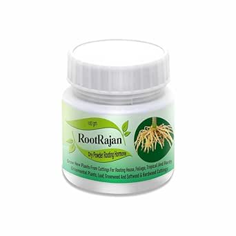 RootRajan Fast Root Powder (100gm) – Boosts Propagation Success & Root ...