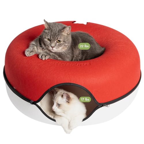 Cat Donut – The 15 best products compared - Wild Explained
