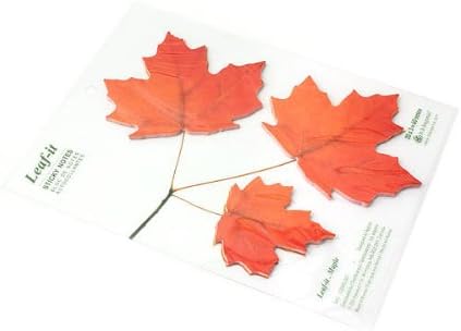 Appree Leaf-it Sticky Memo Large (Maple - Red) : Amazon.co.uk ...