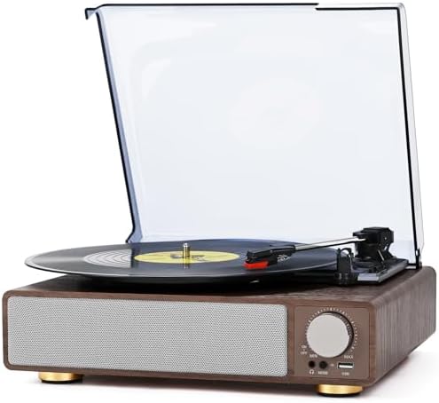 Amazon.com: Vinyl Record Player Turntable,Built-in Bluetooth & 2 Stereo ...