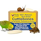 5 Best Cuttlebones for Birds: Vet-Approved Picks for Healthy Beaks ...