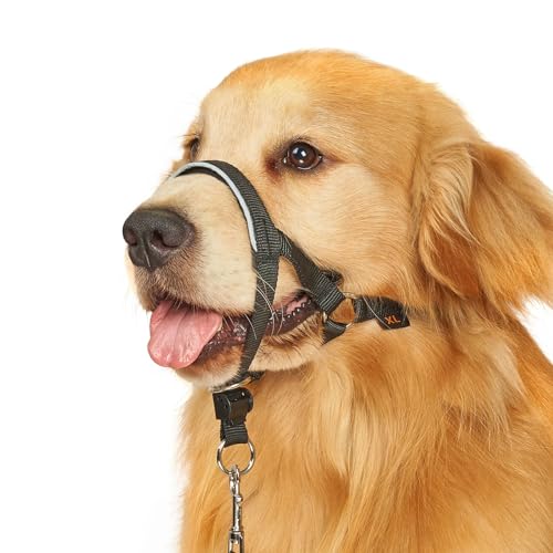 Head Halter for Dogs – The 15 best products compared - Wild Explained