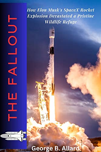 The Fallout: How Elon Musk's SpaceX Rocket Explosion Devastated a ...