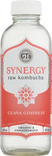 Amazon.com: GT's Kombucha, Guava Goddess 16 Fl Oz : Grocery & Gourmet Food