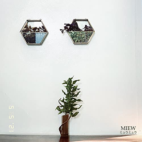 Amazon Music - Miew Miewのดีใจที่มีเธอ - Amazon.co.jp