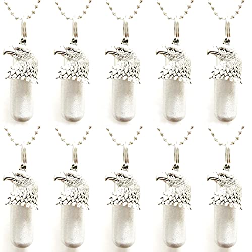 Amazon.com: Custom Engravable Set of 10 Brushed Silver CREMATION URN ...