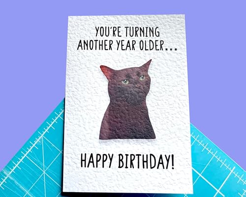 Zoned Out Cat Viral Meme Greeting Card - Happy Birthday - You're one ...