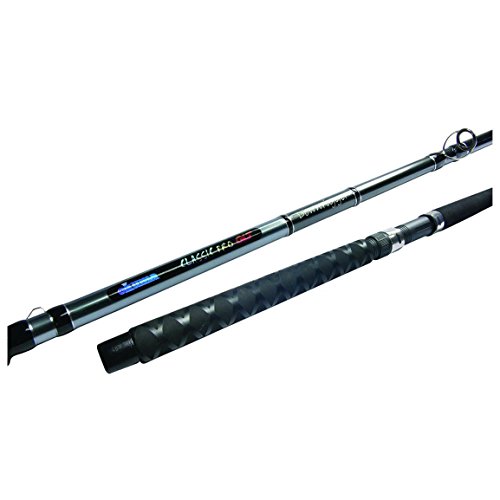 Top 10 Best Rod For Downrigger Fishing : Reviews & Buying Guide - Katynel