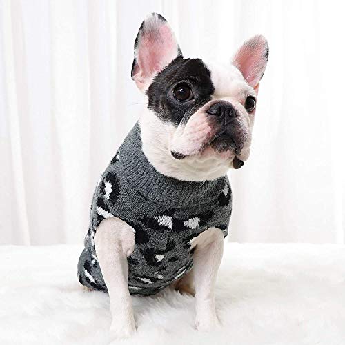 Die 16 besten Strickpullover für Hunde - Haustierratgeber Ratgeber