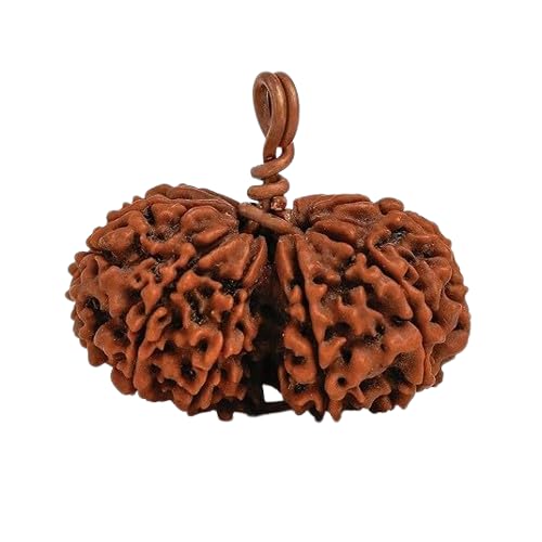 Buy Isha Life Gowri Shankar Rudraksha Original Bead Online at Low ...