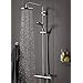 GROHE 27221000 | Euphoria Massage 110 Hand Shower | 3 Sprays - Chrome ...