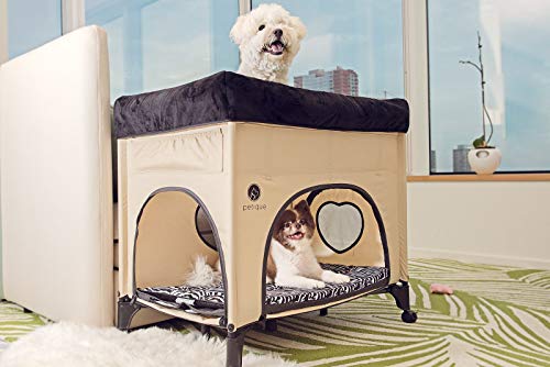 The 6 Best Dog Bunk Beds of 2022