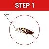 Cockroach Dot Pest Control Cockroach Killer Anti Cockroach Gel (20 ...