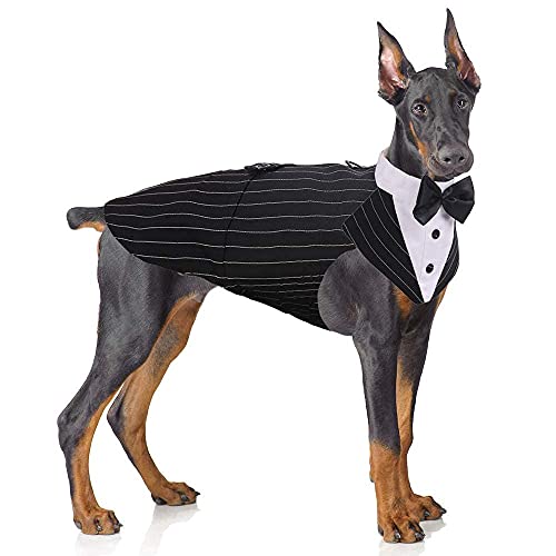 Unleash Your Pup's Inner Don with these Top 10 Dog Mobster Costumes: A ...