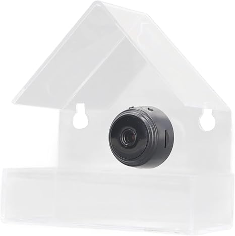 Amazon.com : Smart Bird Feeder Camera, 720 HD Auto Capture Bird Camera ...
