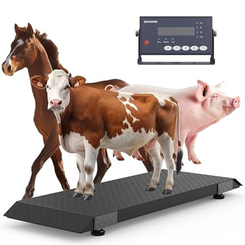 56.3"x20" Vet Animal Scale Fl...B0DFWS6WVX | Encarguelo.com