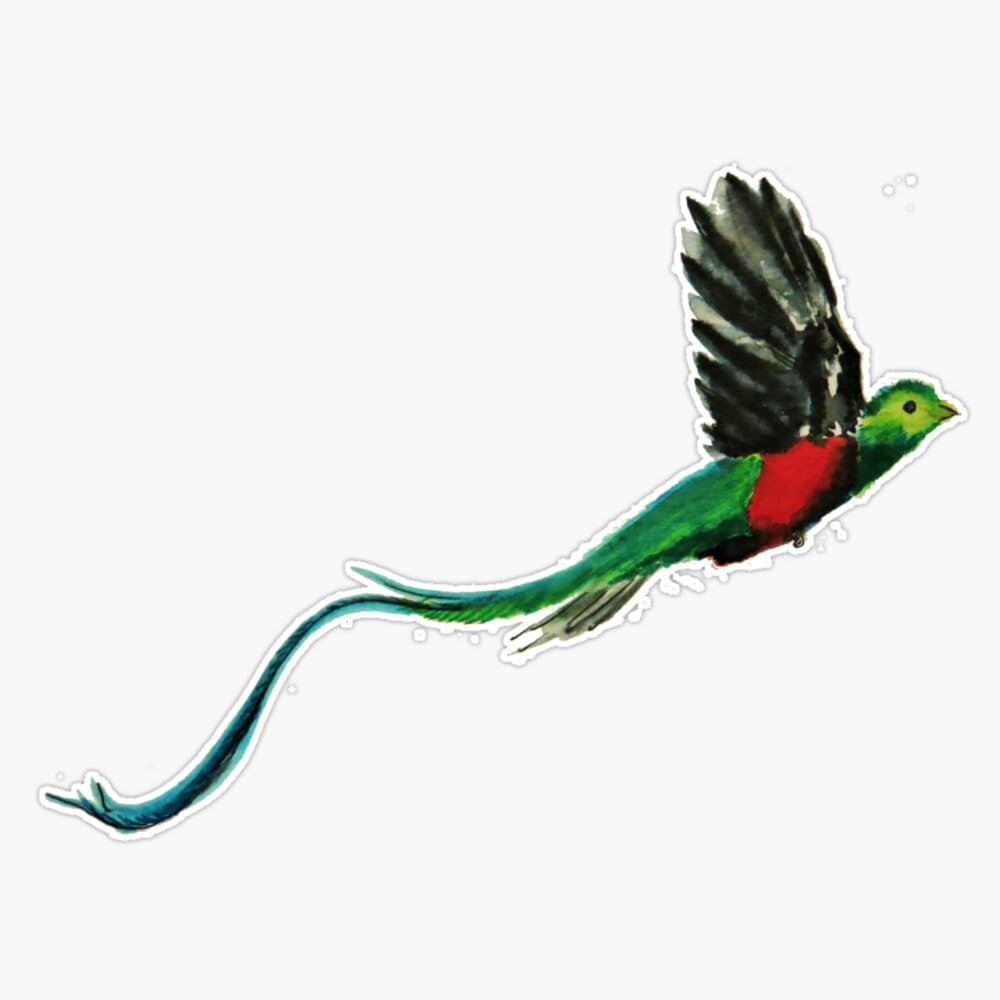 Amazon.com: Costa Rica Quetzal Watercolor Sticker Bumper Sticker Vinyl ...