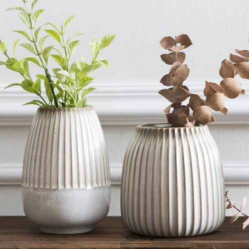 Tanarain's Amazon Page